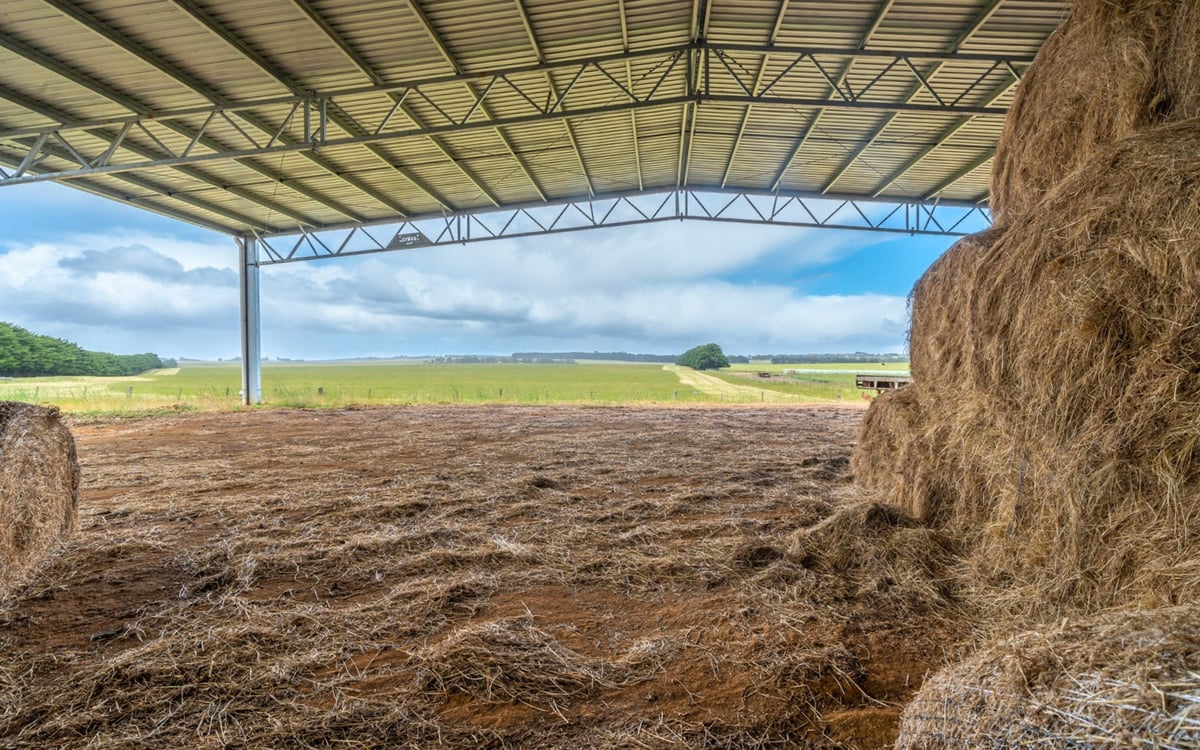 How a Well-Designed Hay Shed Protects Your Feed and Your Bottom Line